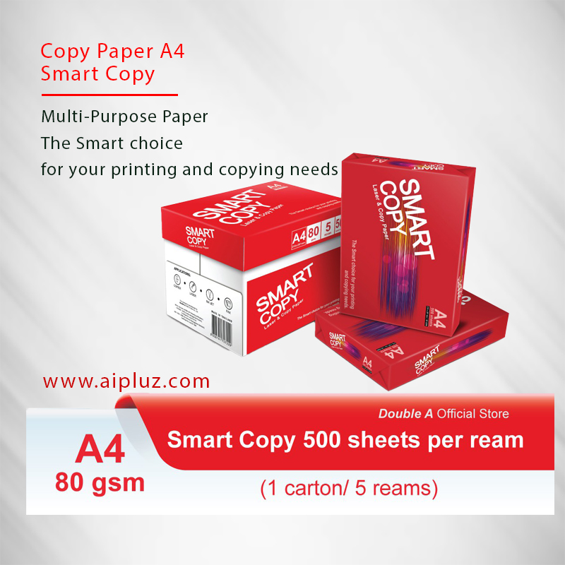 Papers / Ploter Paper – AiPluz